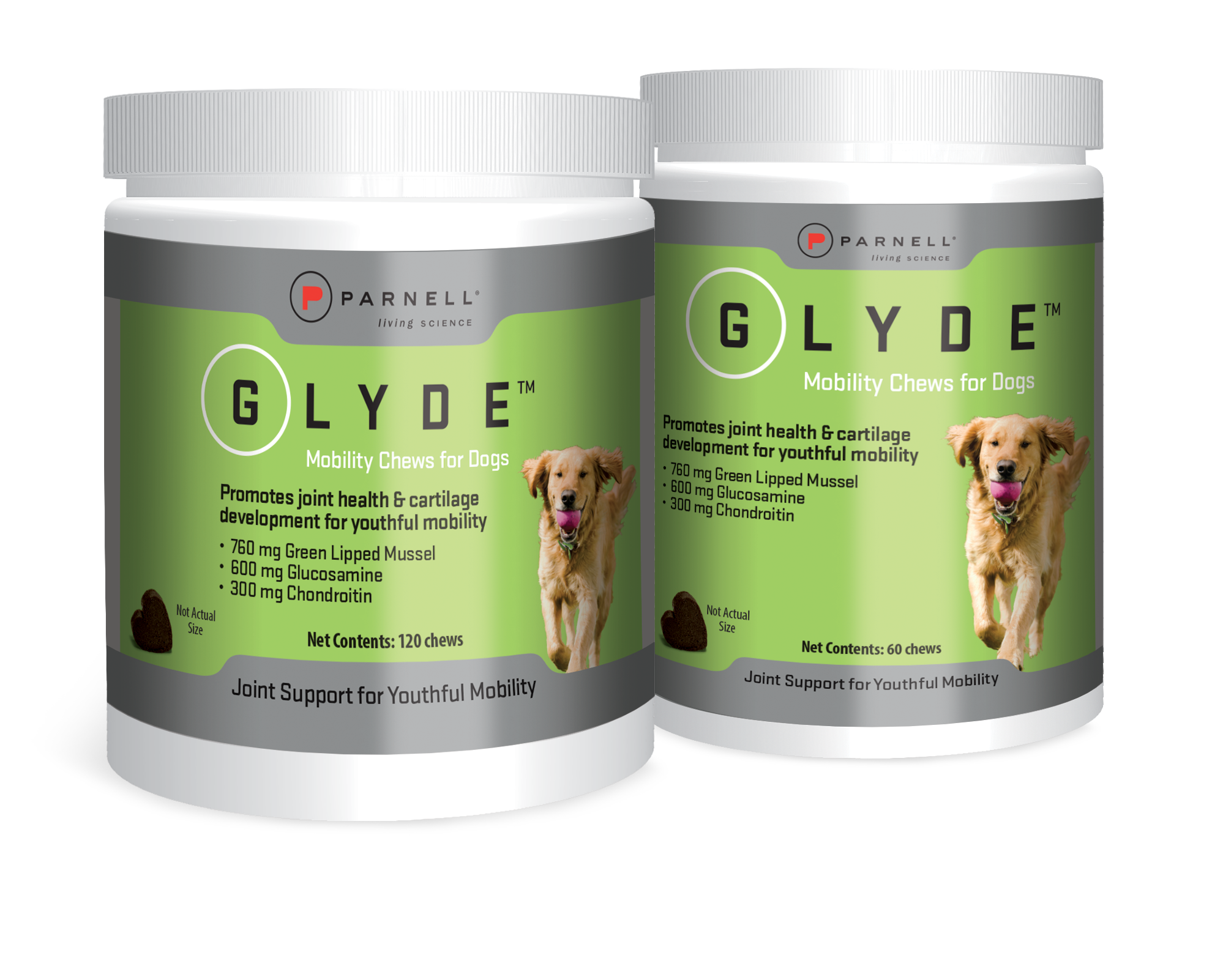 Glyde Mobility Chews: The Premium Joint Health Choice for Clinics ...