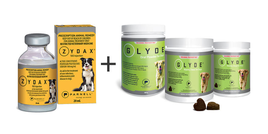 Benefits of Dual Joint Care with Zydax and Glyde | Parnell Living Science